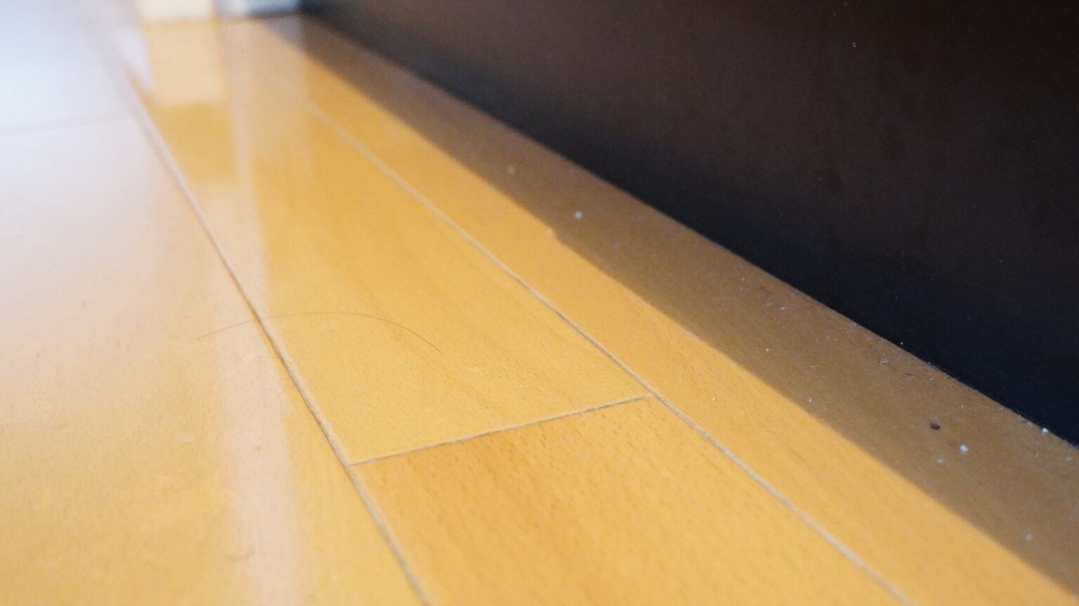 ロボット掃除機は一人暮らしでいるかいらないか／2年使って分かったこと | youlog