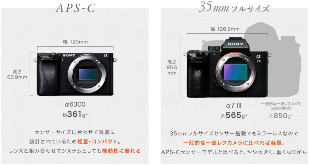 【一眼レフのフルサイズとAPS-Cの違いを徹底解説】メリットやデメリットと選び方を紹介 | youlog
